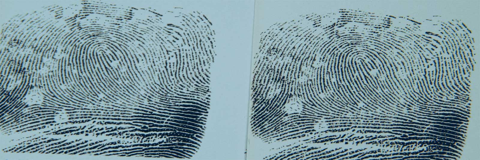 OpenFox® Computerized Criminal History Application | Real-Time Tracking ...